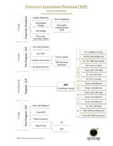 SLP Process Overview | Athena Executive Education Inc.