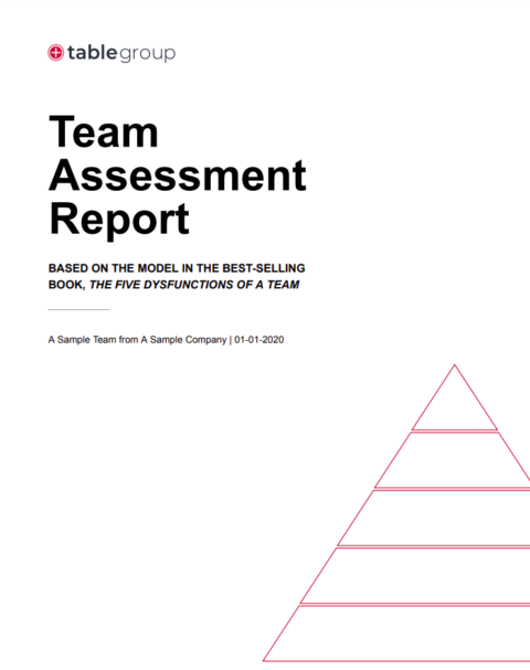 Team Assessment Report (based on 5 Dysfunctions of a team) | Athena ...