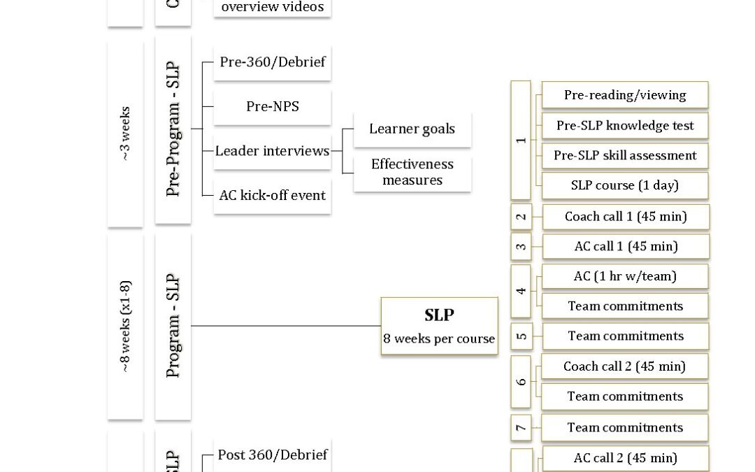 SLP Process Overview | Athena Executive Education Inc.